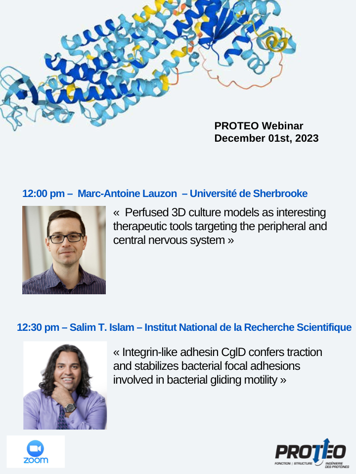 PROTEO webinar - December 01st - 12:00 pm - PROTEO